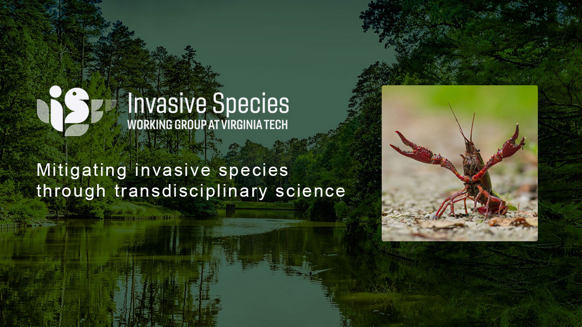 Flood Waters, Topography, & Invasive Species - Invasive Species ...